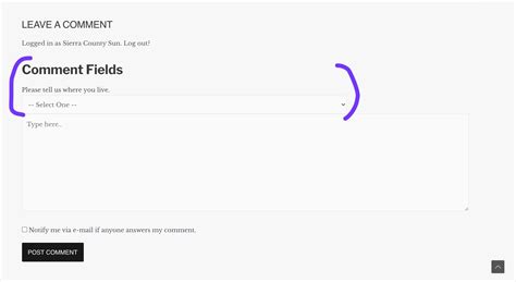 Field Added To Comments With Pods Doesn T Display To Logged Out Users Issue Pods