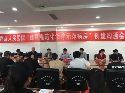 新野县人民医院 “癌痛规范化治疗示范病房”创建交流会患者
