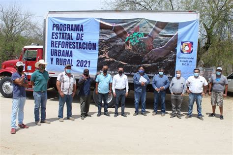Arranca En Bcs Programa De ReforestaciÓn Rural Y Urbana 2021