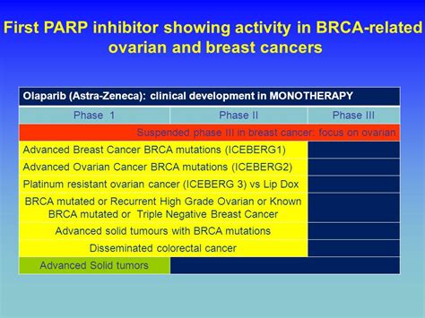 Parp Inhibitor Ovarian Cancer Brca Negative Cancerwalls