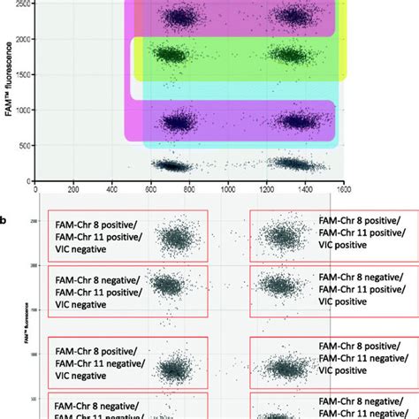 Evaluation Of Copy Number By Multiplexed Ddpcr The Figure Describes Download Scientific