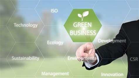 Understanding Sustainable Business Practices Lythouse