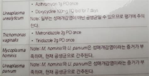 유레아플라즈마 파붐 유레아플라즈마 유레아리티쿰 네이버 블로그
