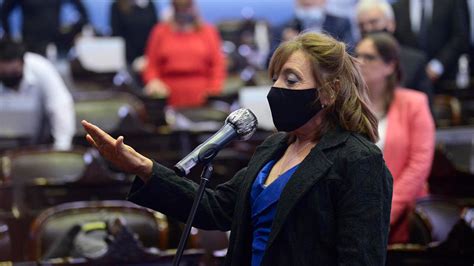 Alcira Figueroa Asumió Como Diputada En Reemplazo De Juan Ameri Infobae