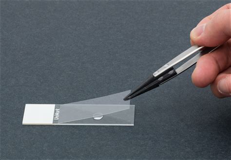 What Is The Standard Thickness Of Glass Slide And Coverslip Glass