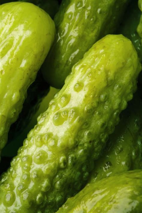 4 Foods That Will Help Flatten Your Tummy Flat Stomach Diet Flat