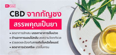 Cbd สำคัญอย่างไร ทำอะไรได้บ้าง