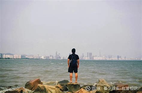 有时真的很绝望熬不下去的时候就读读岸见一郎 读书 季季红固收加 TIAA644006 节节高混合 TIAA644005