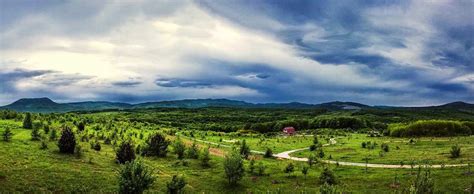 ПРОДАЖА ЗЕМЕЛЬНЫХ УЧАСТКОВ ДЛЯ ЭКОПОСЕЛЕНИЙ ЗЕМЛИ ДЛЯ РОДОВЫХ ПОМЕСТИЙ ПОСЕЛЕНИЯ ЗЕМЛИ ПОД