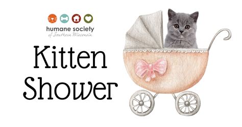 Kitten Shower Humane Society Of Southern Wisconsin
