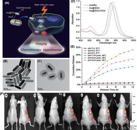 A Schematic Illustration Of Mesoporous Silica Coated Gold Nanorods