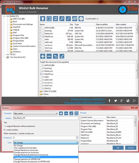 Kilmka Blogg Se Bulk File Renamer
