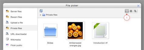 file picker moodledocs