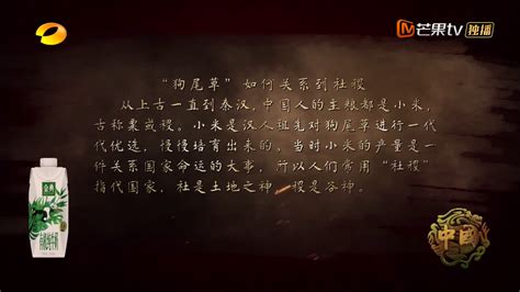 纪录片《中国》解说词文本06 第一季第六集 视野 哔哩哔哩