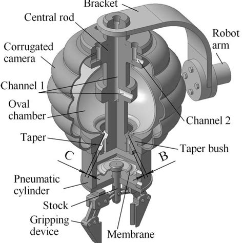 Adaptive Assembly Module In Section ¼ Volume Download Scientific Diagram