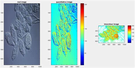 Questions With Answers In Matlab Simulation Science Topic