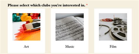 How To Customize The Checkboxes Field In WPForms