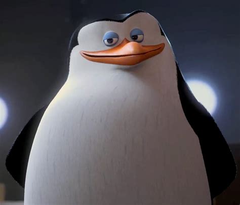 Penguins Of Madagascar Skipper Makes Perfect