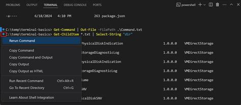 Vscode 集成终端 菜鸟教程
