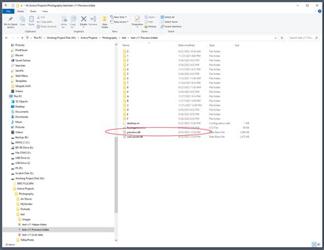 Previews In Library Module Not Showing Edits In Li Adobe Community
