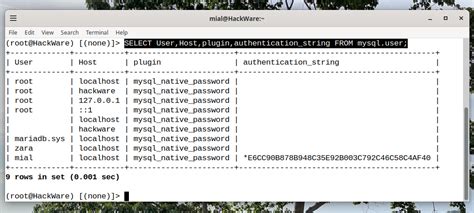 Choose Update Er Set Or Alter User Solved Suaysite