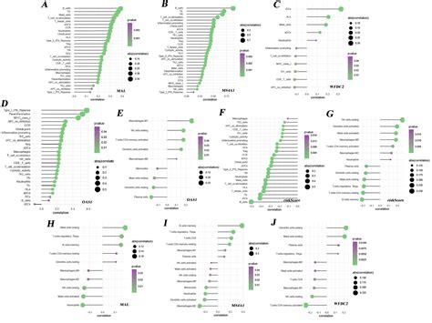A Prognostic Nomogram Combining Immune Related Gene Signature And Clinical Factors Predicts