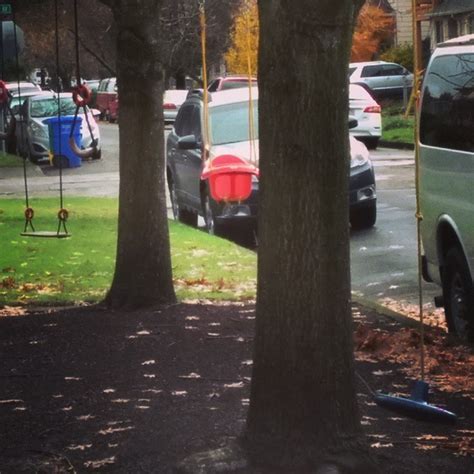 For Portland People Who Love To Swing • Swinging Options Are Everywhere