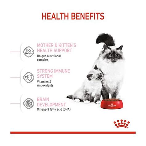 غذای خشک گربه برند رویال کنین مدل مادر اند بی بی 2kg پت شاپ فرشته