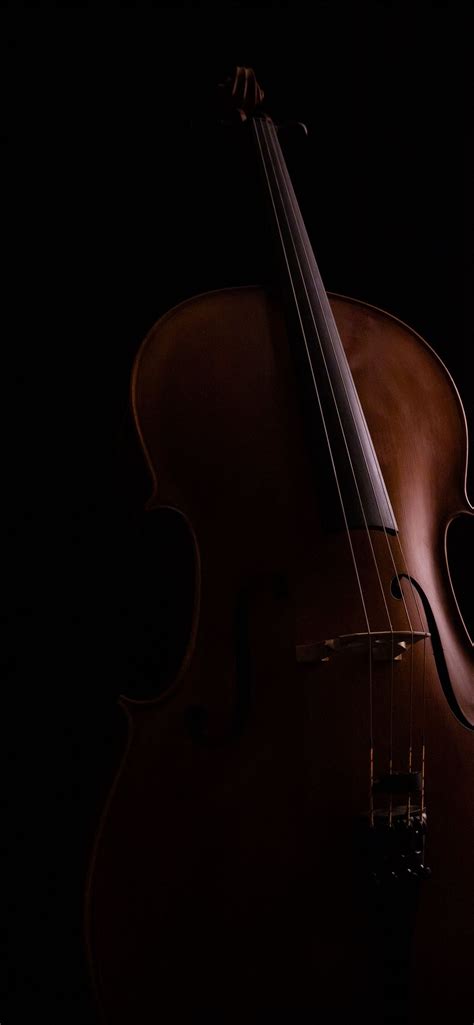 Double Bass Iphone Wallpapers Free Download