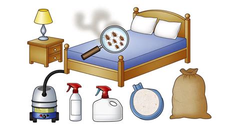 How To Completely Get Rid Of Bed Bugs