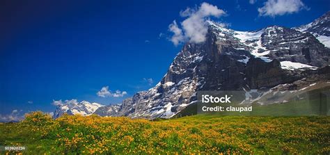 스위스 알프스 융프라우 아이거 Monch 하이킹 0명에 대한 스톡 사진 및 기타 이미지 0명 경관 계곡 Istock
