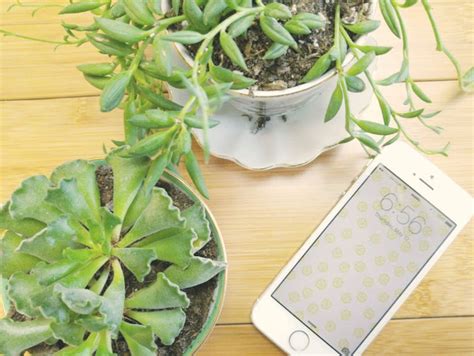All Paths Lead To Wonderland Diy Stamped Digital Wallpaper Wo