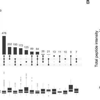 A UpSet Plot Visualizing The Intersections Of Identified Peptides In