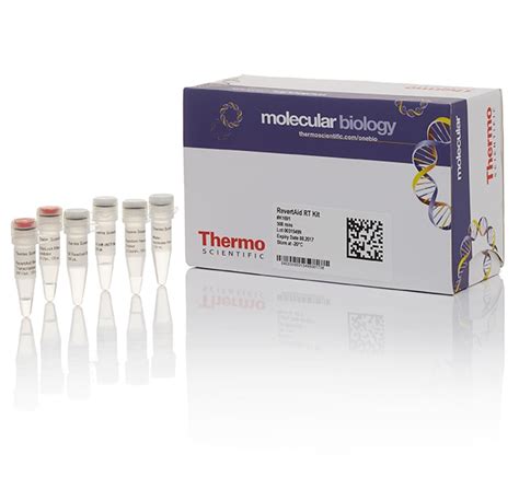 Thermo Scientific Kit De Transcription Inverse Rt Revertaid 500