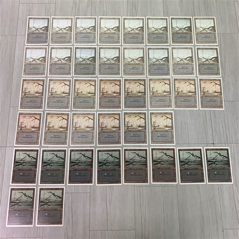 Yahooオークション Mtg 3ed リバイズド 基本土地 204枚セット 平地