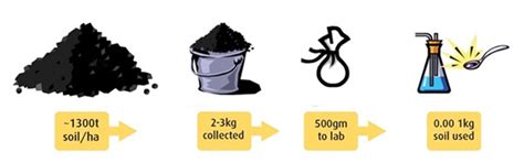 To Plan Your Sampling Strategy Consider