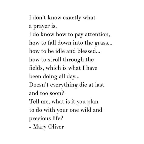 Mary Oliver Quotes Shortquotescc