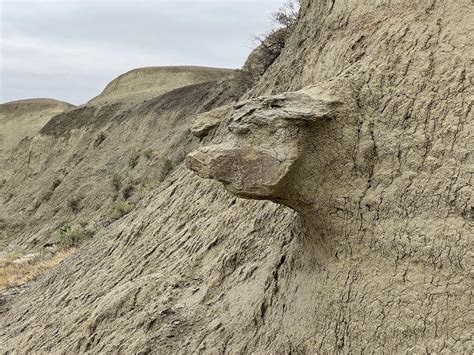 Journey To The Badlands Of Grasslands National Park