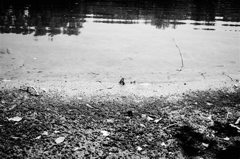 Requests Python Requests For Humans™