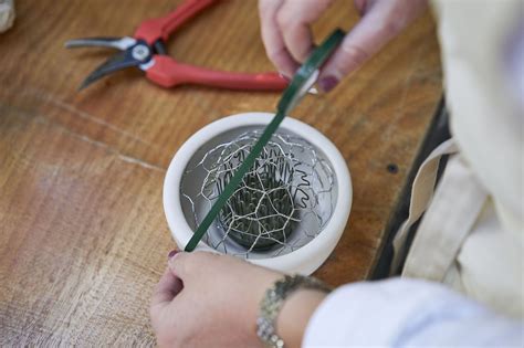 Oh Flora Oh Flora Store