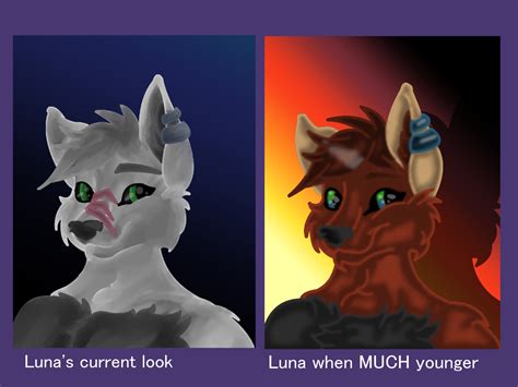 Lunas Evolution By Lunathunderbolt On Deviantart