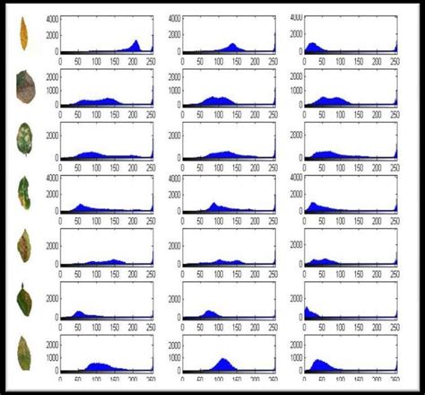 Demonstrates The Histogram Plot Of Few Leaf Sample Along Red Green