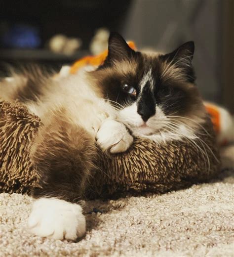 Blog Archive Gryffyn Graydon Up Close