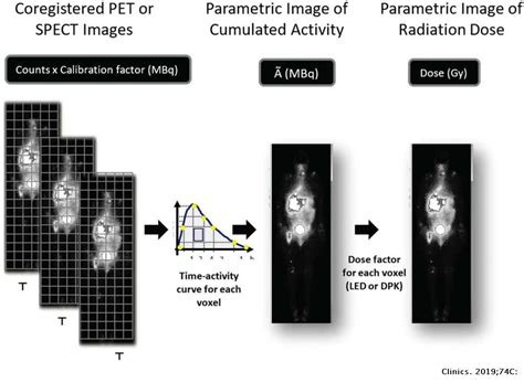 Radionuclide Therapy Current Status And Prospects For Internal