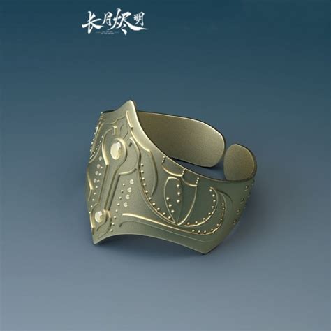 代購 陸劇《長月燼明》官方聯名 周邊「繁花似燼 手鐲」 贈劇照 冥夜 白鹿 羅雲熙 蝦皮購物