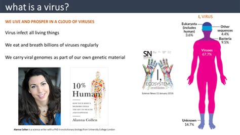 Bacteriophages Flashcards Quizlet