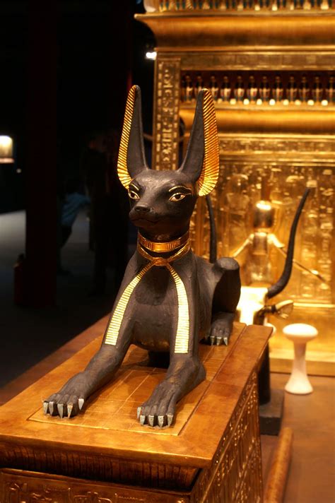 Anubis Ancient Egypt Wiki Fandom Powered By Wikia