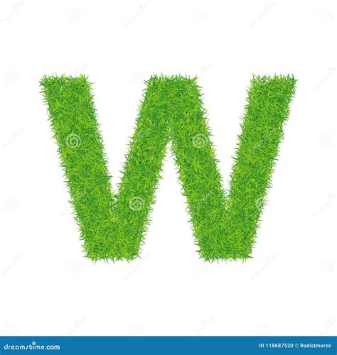 Green Grass Letter W On White Background Stock Illustration