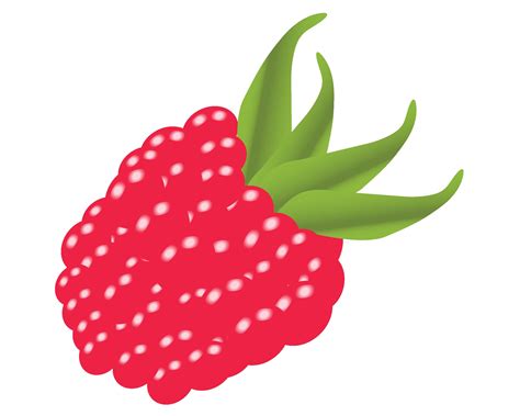 Fruta Svg Fruta Svg Paquete Frutero Svg Fresa Svg Piña Etsy