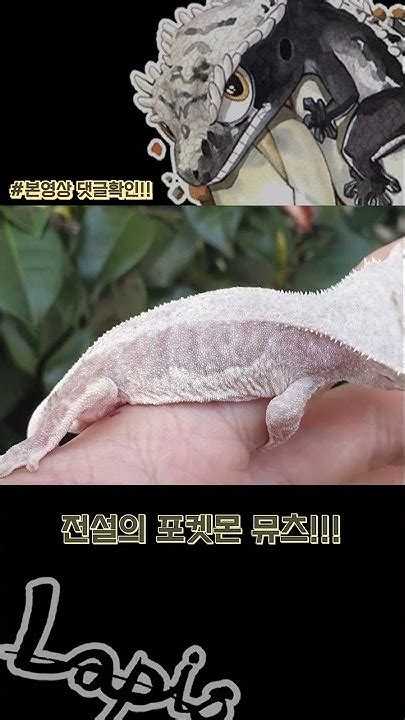 전설의 포켓몬 뮤츠 Youtube